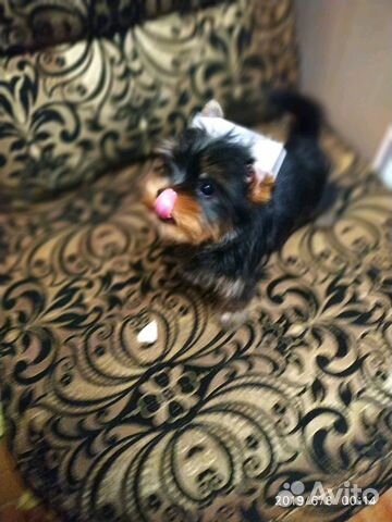 Ребенок с идеальным характером И документами