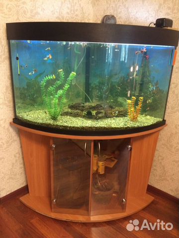 Аквариум 300л с тумбой