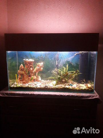 Аквариум c оборудованием