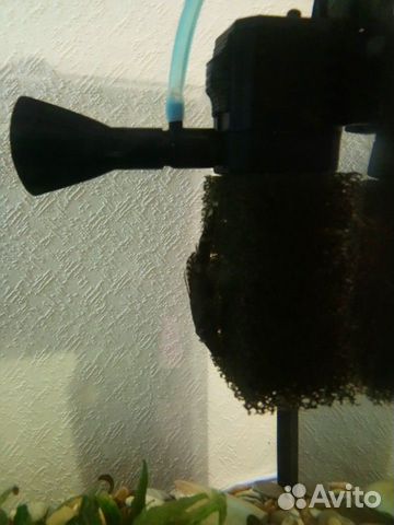 Аквариум с рыбками