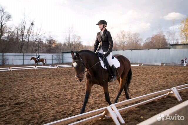 Продаю мерина