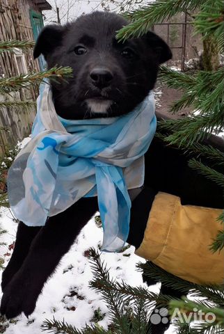 Заберите меня скорее