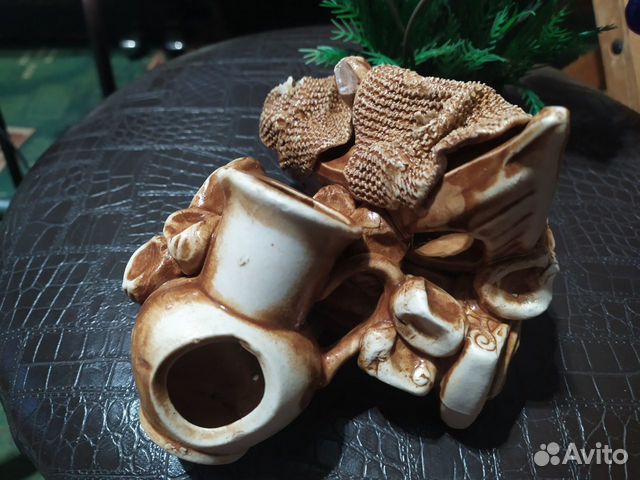 Продам аквариум, растения, гроты и насос для аквар