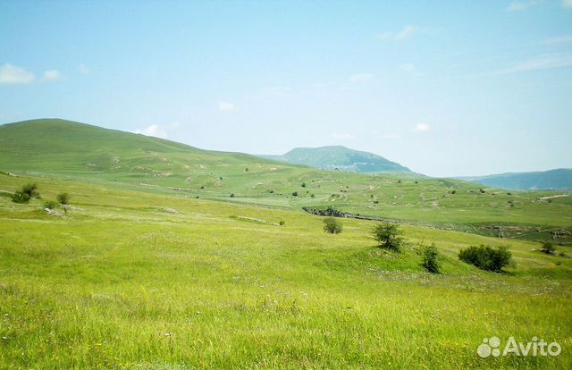 Нужен пастух