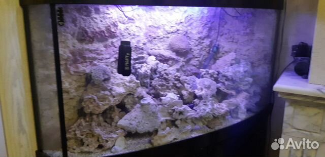 Продам Аквариум 200 л