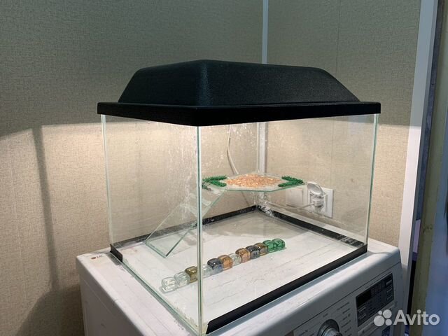 Террариум для черепахи