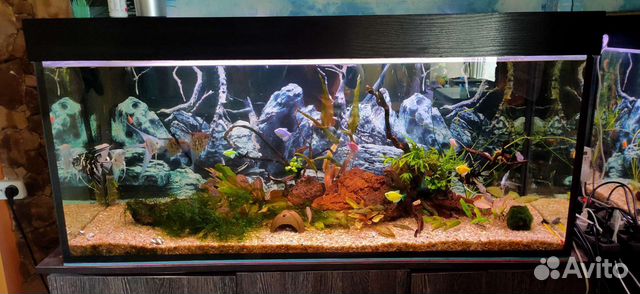 Аквариум