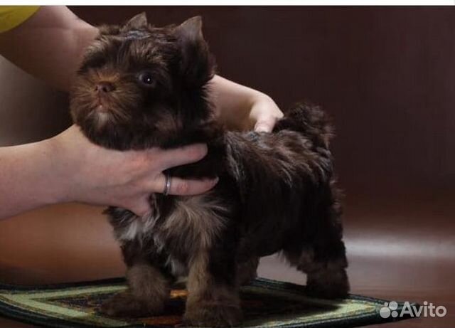 Шоколадное удовольствие