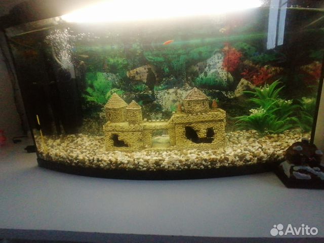 Аквариум
