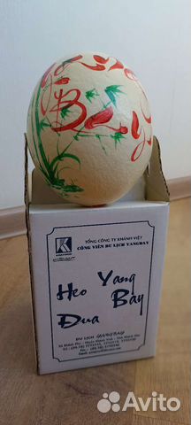 Скорлупа яйца страуса