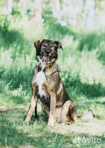 Красавчик Курт