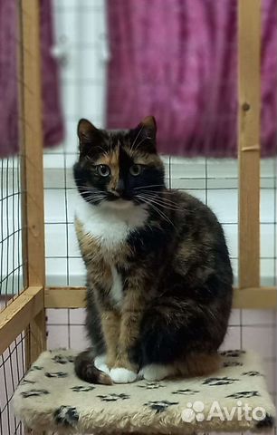 Помогите найти дом