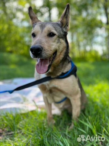 Гретта умрёт в приюте