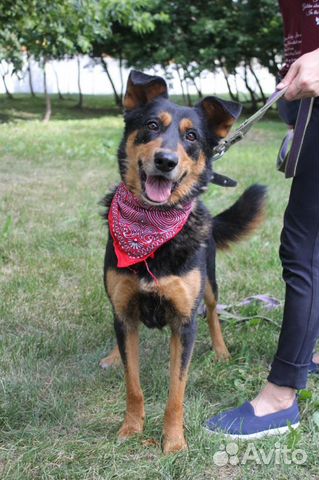 Ищу свою семью