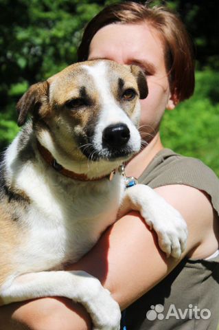 Малышка Ляля попала в приют