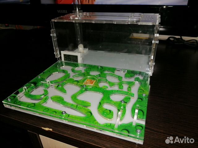 Продам муравьиную ферму