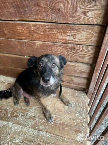 Нежная Баллин ищет свою любящую маму