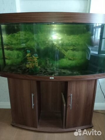 Аквариум Juwel Vision 260