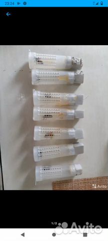 Пчеломатки