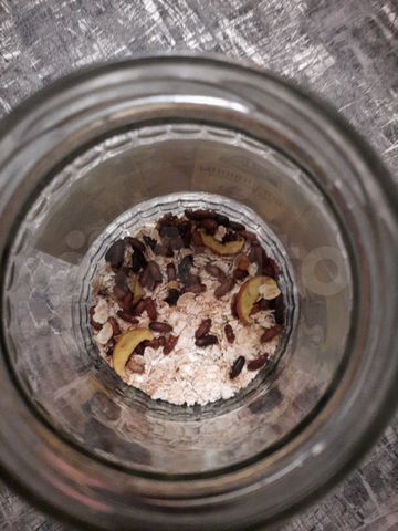 Жуки чернотелки жуки знахарь куколки