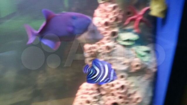 Морские аквариумы и оборудование новые и б/у